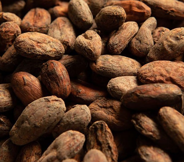 Cocoa. Our unique know-how - Kinder United Kingdom and Ireland