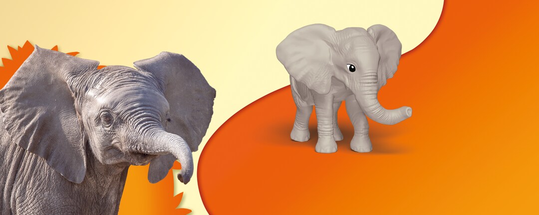 Natoons - Kinder United Kingdom and Ireland