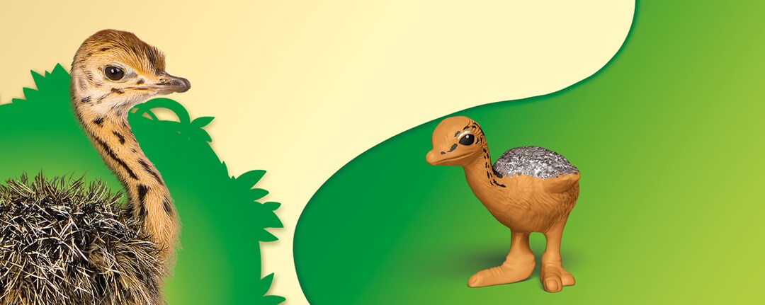 Natoons - Kinder United Kingdom and Ireland