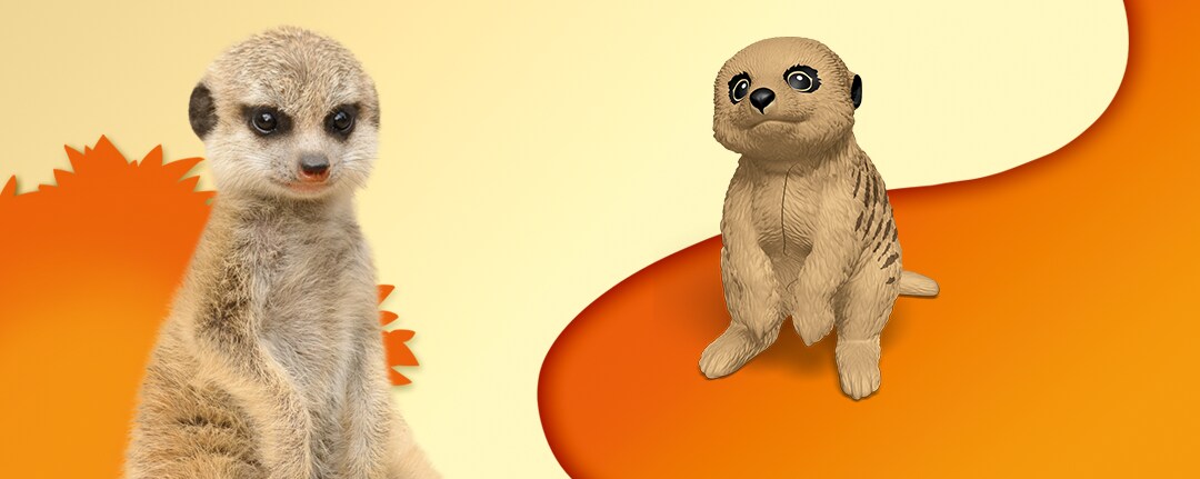 Natoons - Kinder United Kingdom and Ireland